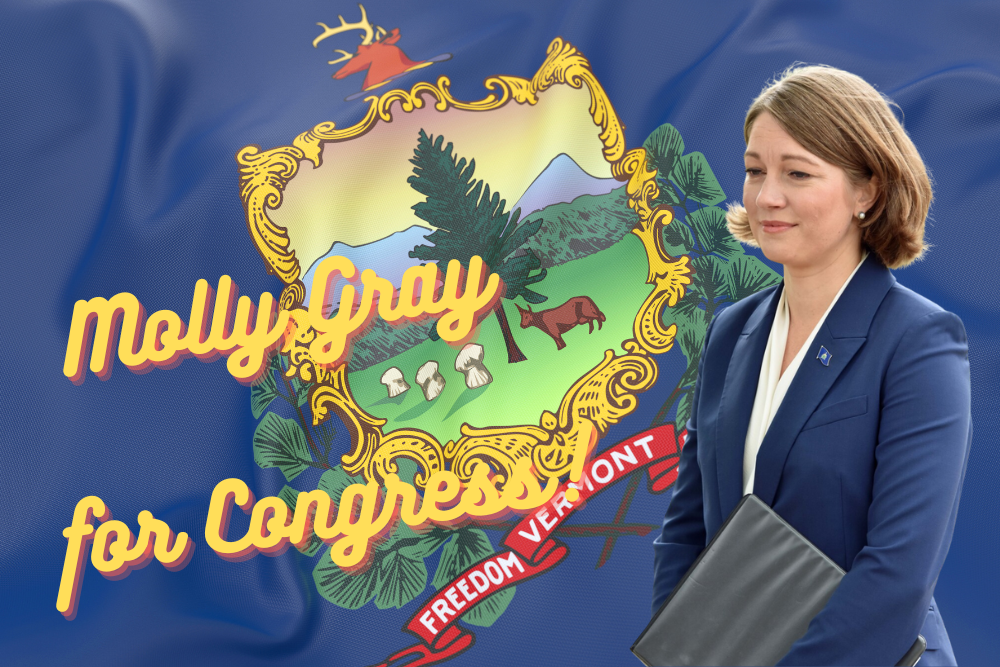 Campaigns Daily | Lt. Governor Molly Gray Joins National Task Force To ...
