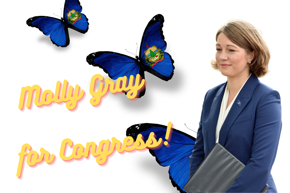 Campaigns Daily | Public Statement: Statement of Lt. Governor Gray in ...
