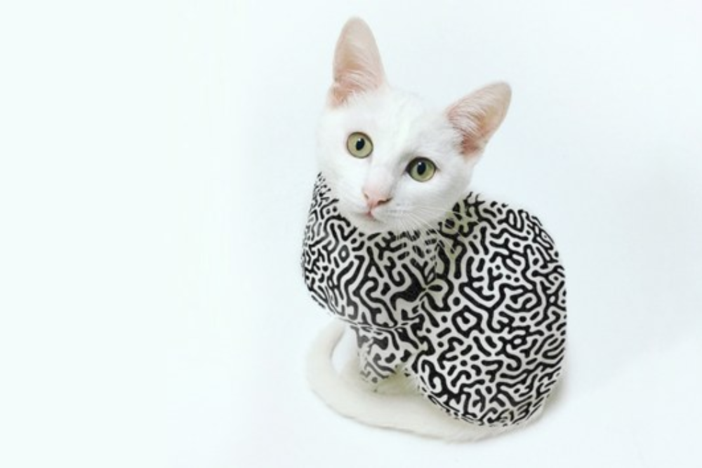 New Fur for the Quantum Cat. Quantum Materials: Entanglement of Many ...