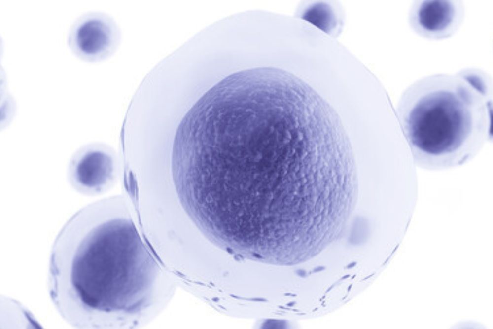 Yale Team Co-maps Proteins and Transcriptome in Human Tissues | Current ...