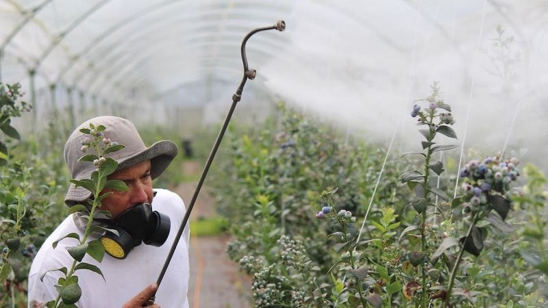 Epidemiologist Tells Jury In Missouri Monsanto Roundup Trial Defense