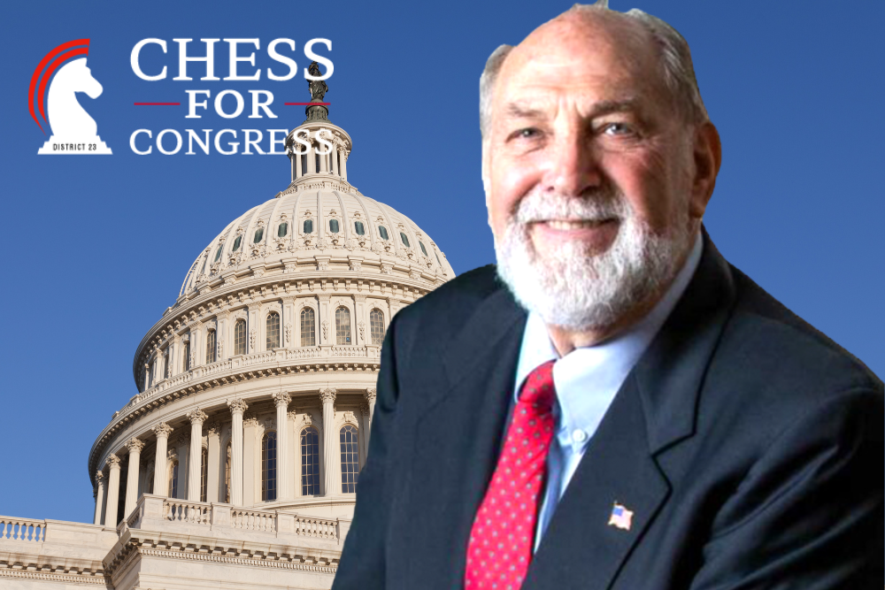 Campaigns Daily | Steve Chess: Education