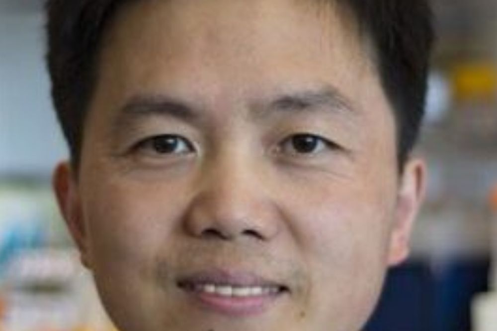 Missing Pathway In Lysosome Underlies Newly Discovered Human Disease ...