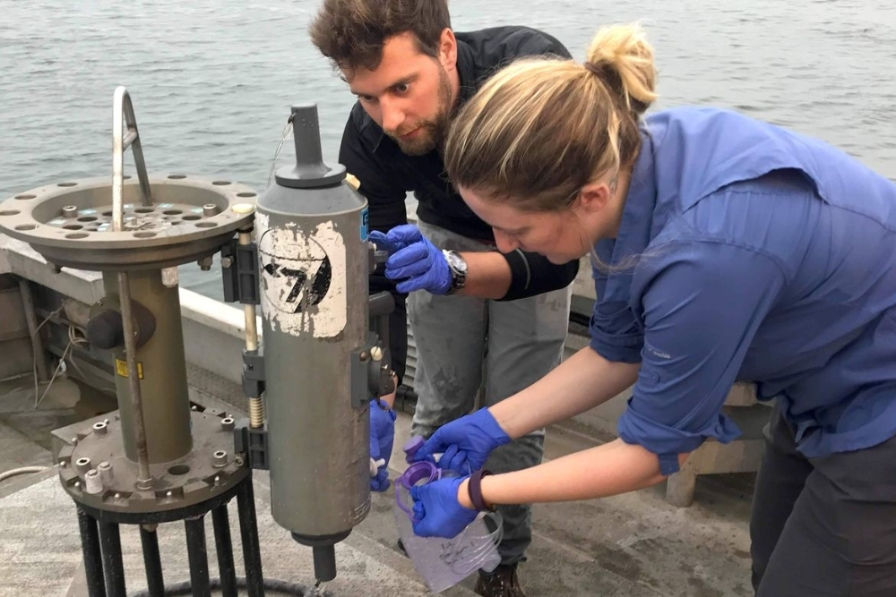 No Ph.D. Needed: UCLA Scientists Help Simplify DNA Testing for Tracking ...