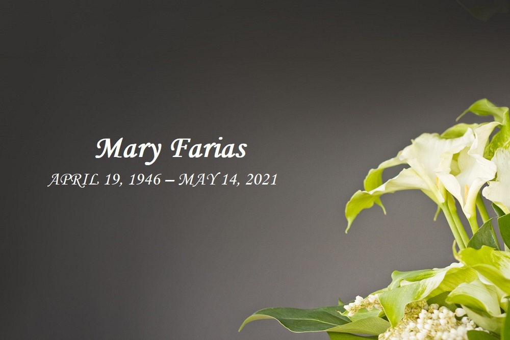 Mary Farias | Houston Daily