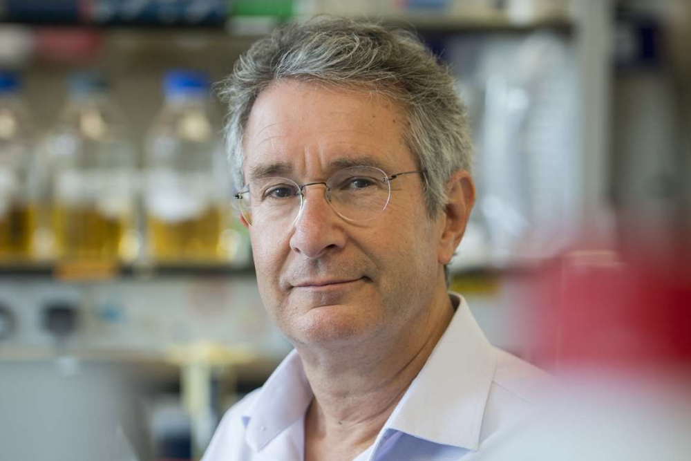 Roadmap Sets Out New Global Strategy For Development Of More Effective ...