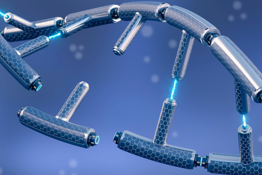 Motion of DNA Linked to Its Damage Response, Ability to Repair Itself ...