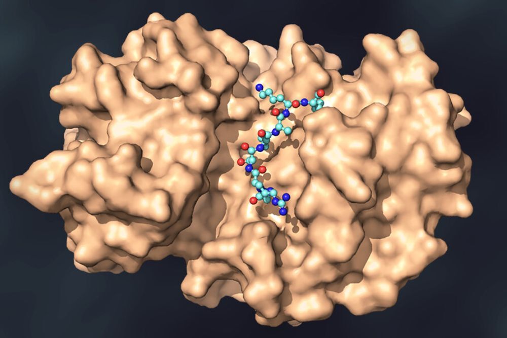 Researchers Decode Targets for Hundreds of Signaling Enzymes | Current ...