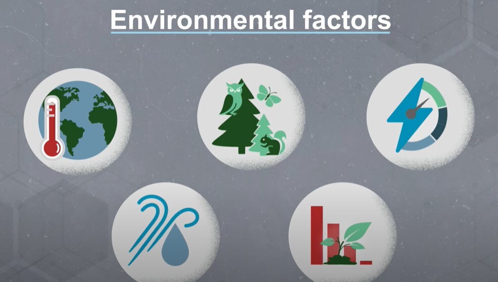 Environmental Factors Clipart