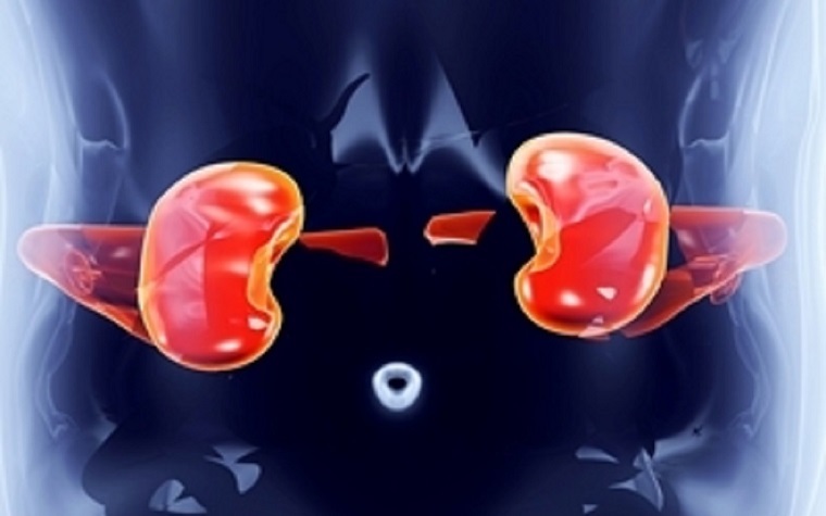 Yale New Haven paired kidney exchange involves 18 patients | Patient Daily