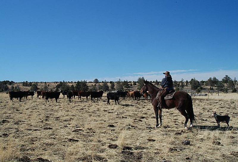 Byam: 'Agriculture is the backbone of Wyoming' | Federal Newswire