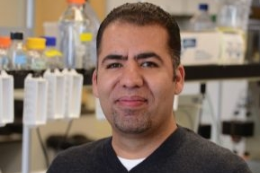 New Research Sheds Light On A Protein That Shapes The T Cell Response ...