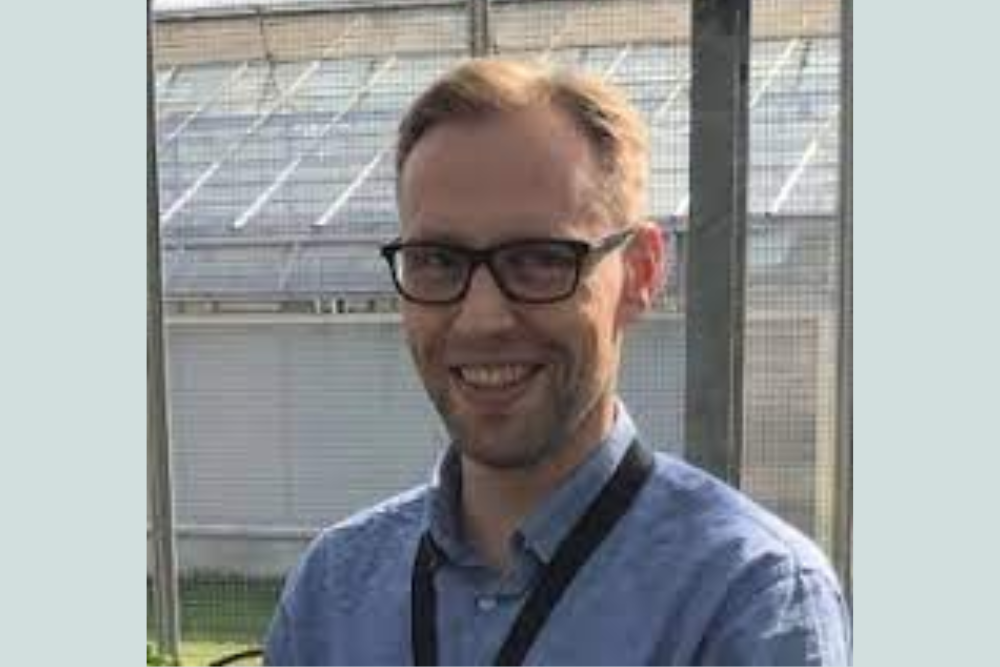 Understanding Inflorescence Architecture In Woodland Strawberry ...