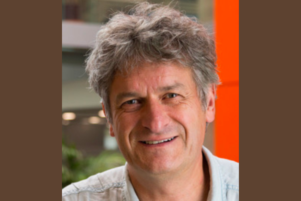 Fertilisers Limit Pollination by Changing How Bumblebees Sense Flowers ...