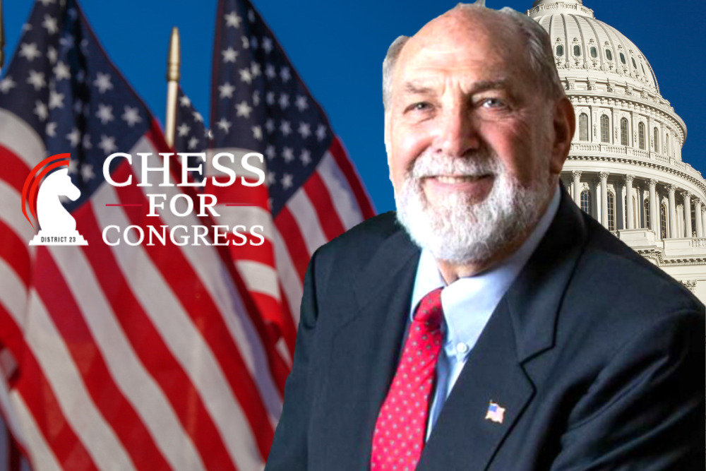 Campaigns Daily | Steve Chess: Social Media