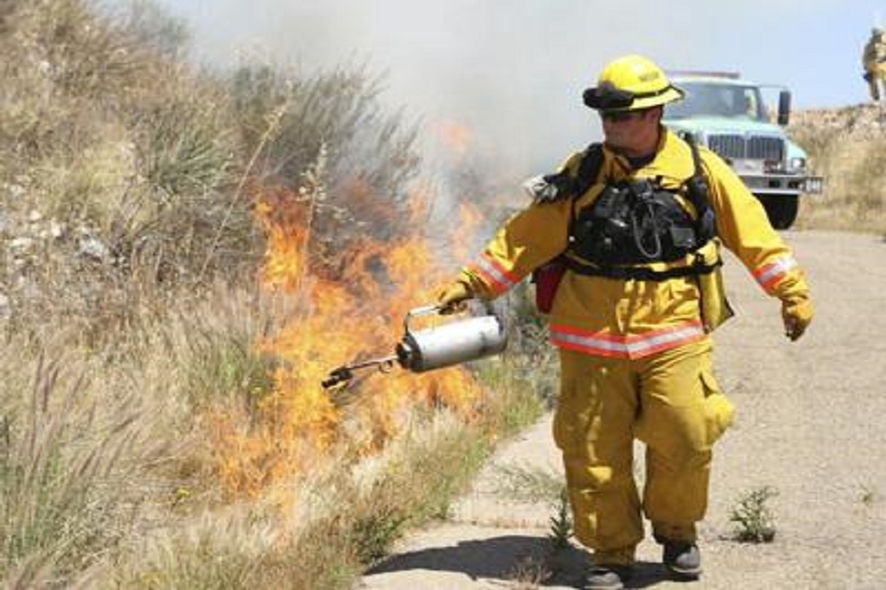 BLM ELKO DISTRICT TO BURN TUMBLEWEEDS ALONG FENCE LINES | Federal Newswire