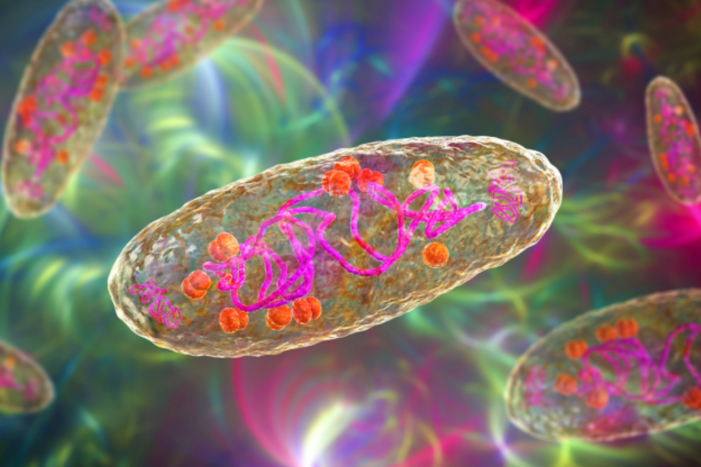 Microbial Communities Stay Healthy by Swapping Knowledge | Current ...