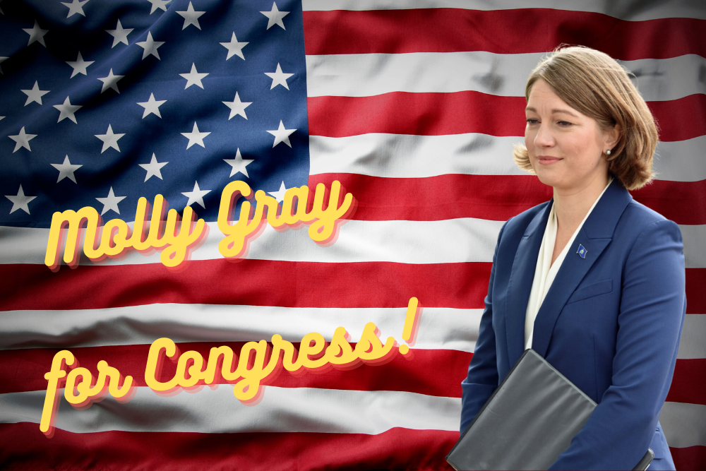 Campaigns Daily | Public Statement: Lt. Governor Gray on the 2022 State ...