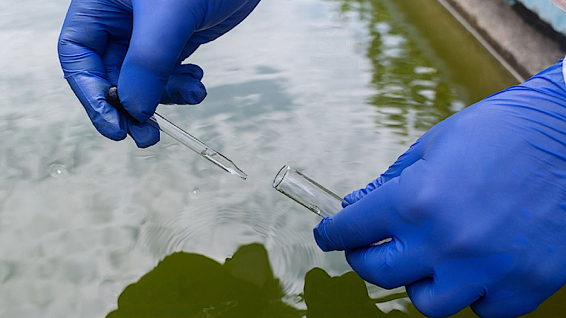 Houston Public Works head on termination of contract with Inframark ...