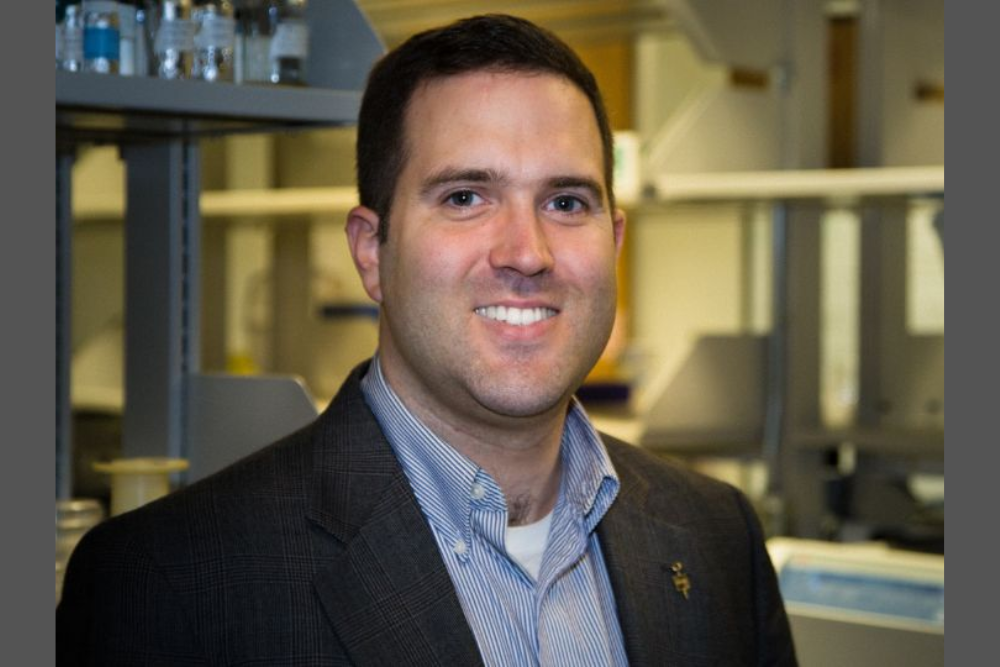 Building the Best Zeolite | Current Science Daily