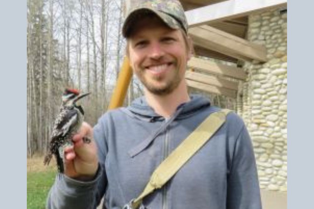 Higher Levels of Biodiversity Appear to Reduce Extinction Risk in Birds ...