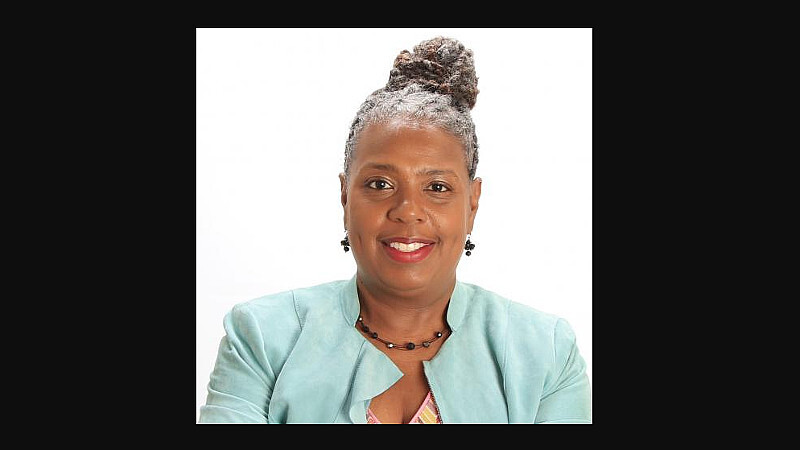 Harris County Public Health's Robinson on likelihood of mosquito ...