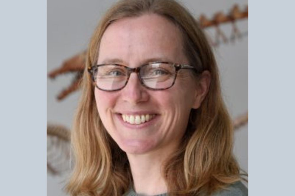 A Healthy but Depleted Herd: Predators Decrease Prey Disease Levels but ...