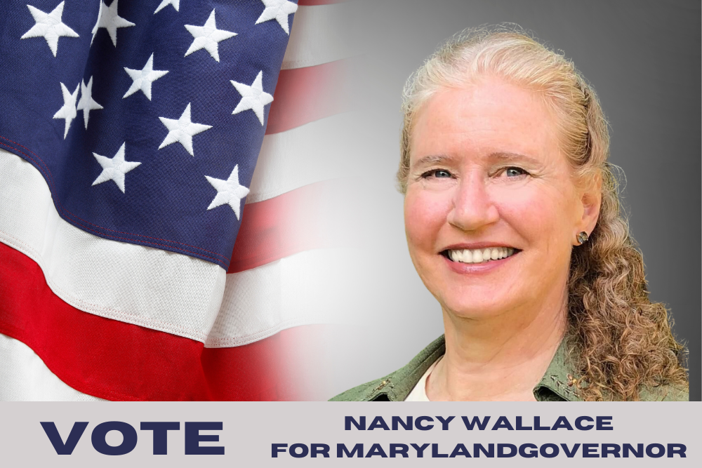 Campaigns Daily | Nancy Wallace for Governor: Issues: Community Peace/Stopping Police Violence