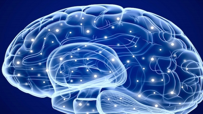 The human brain has a mechanism to encode individual location and ...