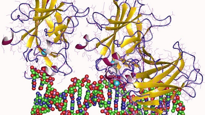 Understudied proteins: The Wellcome Trust launches an initiative to ...