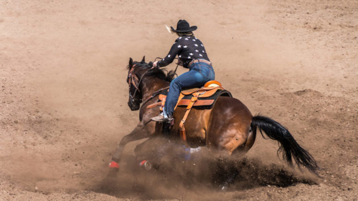 'One to remember': 90-day countdown begins for 90th Houston Livestock ...