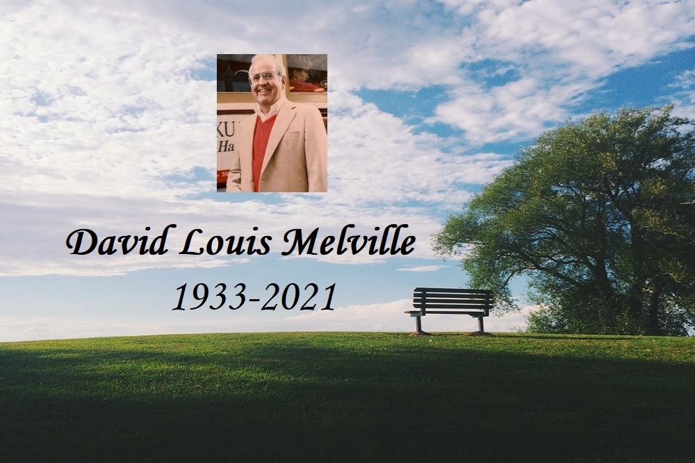 David Louis Melville | Houston Daily