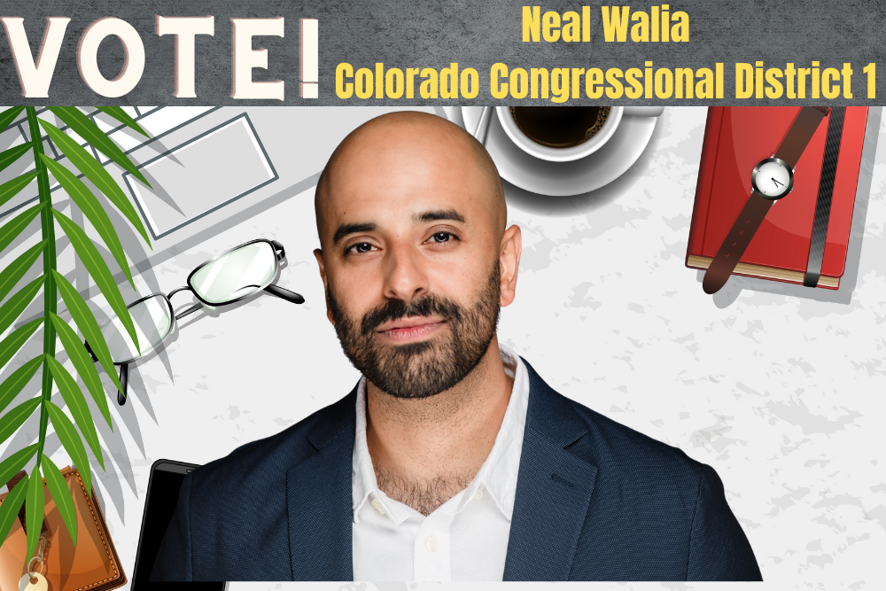 Campaigns Daily | Neal Walia for Congress Issue Abourt: Immigration