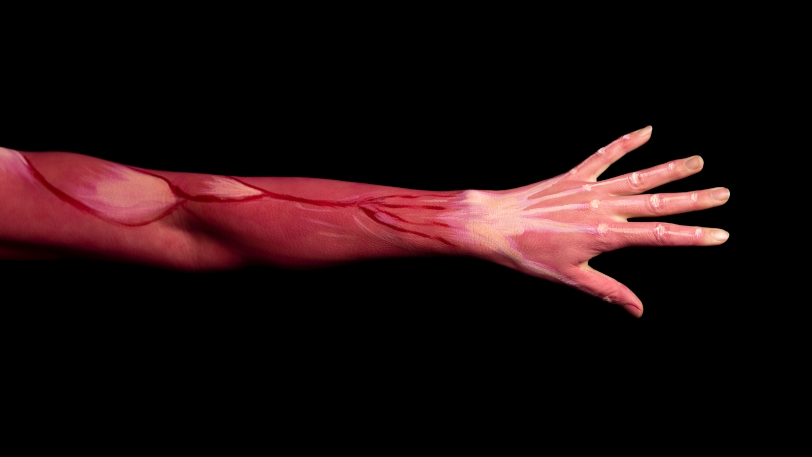 New UCI study indicates that genetic sex determines how muscle tissue ...