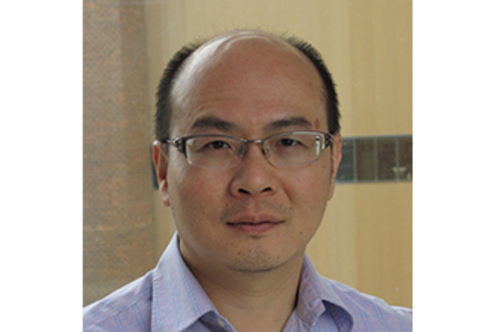 Creating Stem Cells From Minipigs Offers Promise For Improved ...