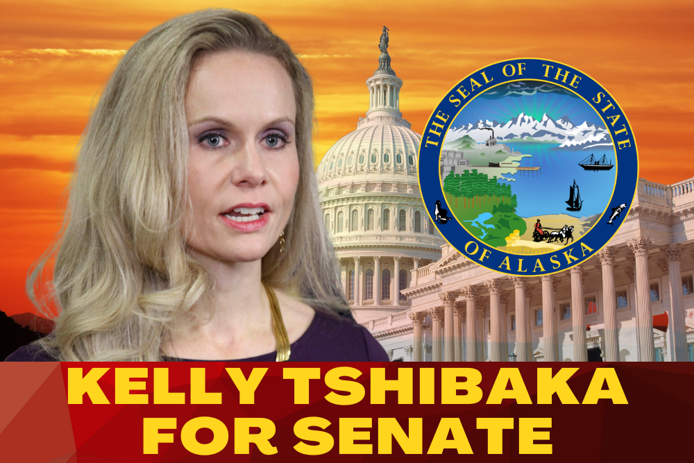 Campaigns Daily | Kelly Tshibaka for Senate: Statement on Biden’s ...