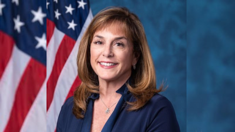 McClain: Chinese criminal organizations 'have captured the money ...