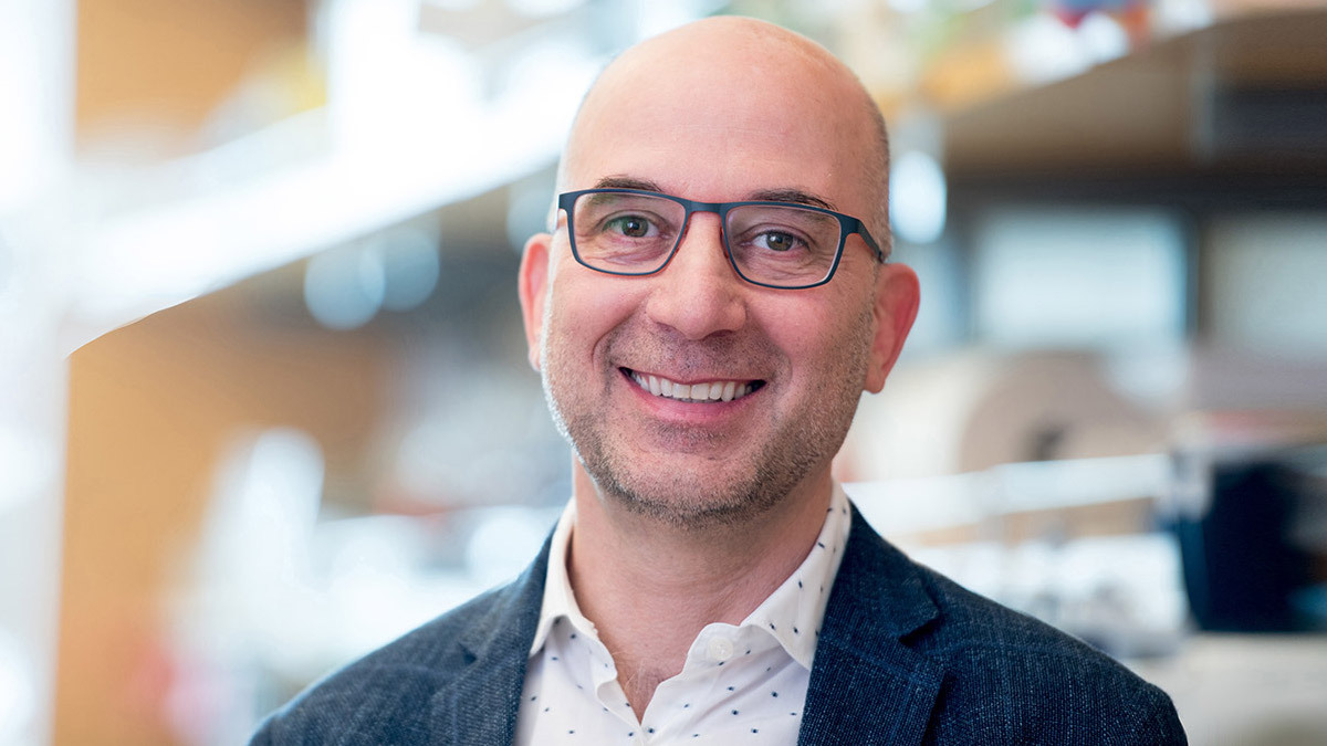 First comprehensive map of genes in human cells ties every gene to its ...