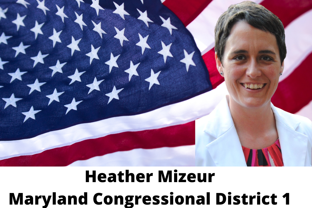 Campaigns Daily | Heather Mizeur For Congress: One Night on the Virtual ...