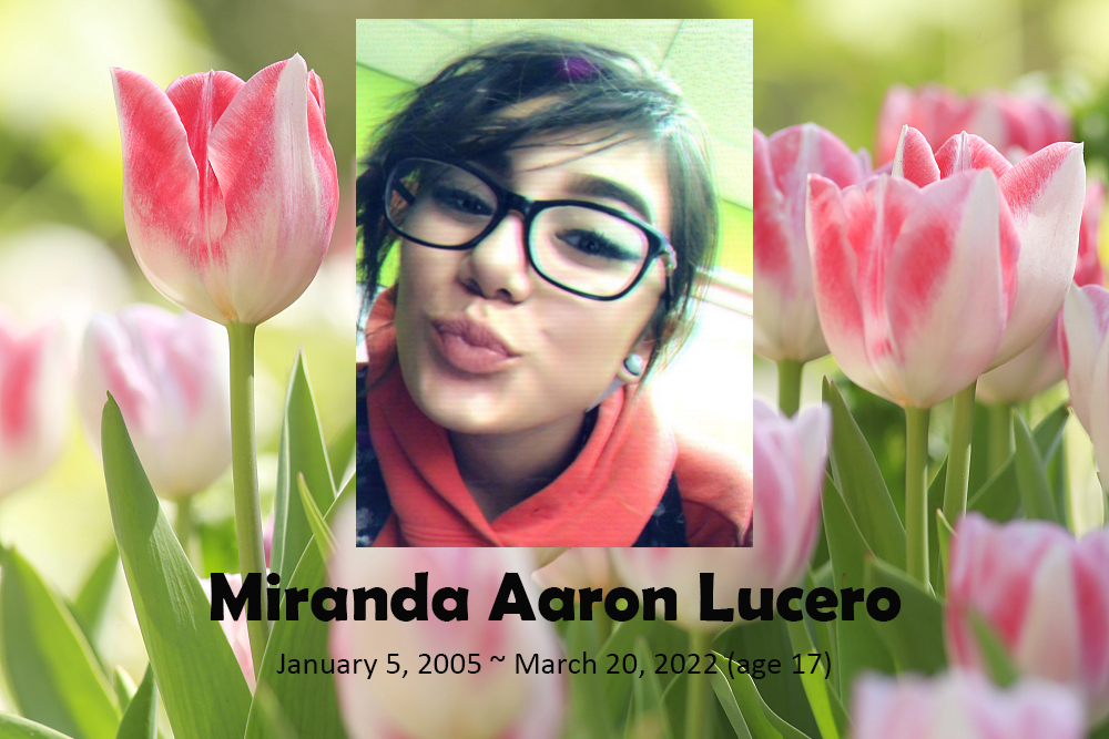 Angelina Lucero's Instagram, Twitter & Facebook on IDCrawl