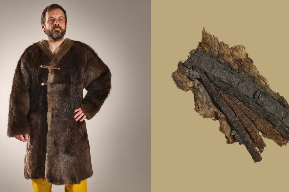 Fur Trading in Viking Age Denmark Is Now Proven: ‘The Black Furs Are ...