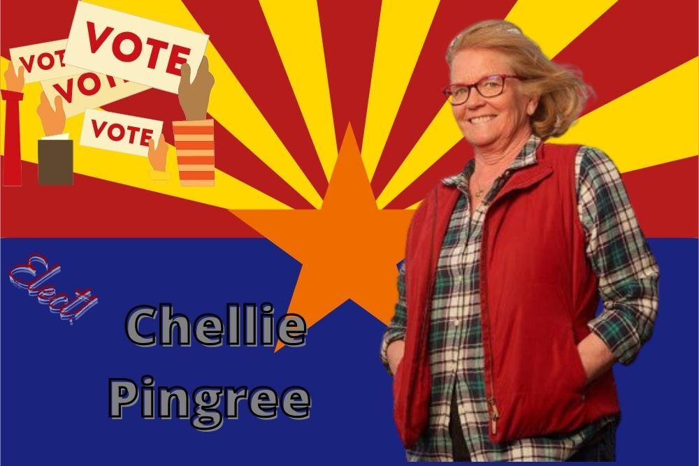 Campaigns Daily | Chellie Pingree for Congress: Pingree, House ...