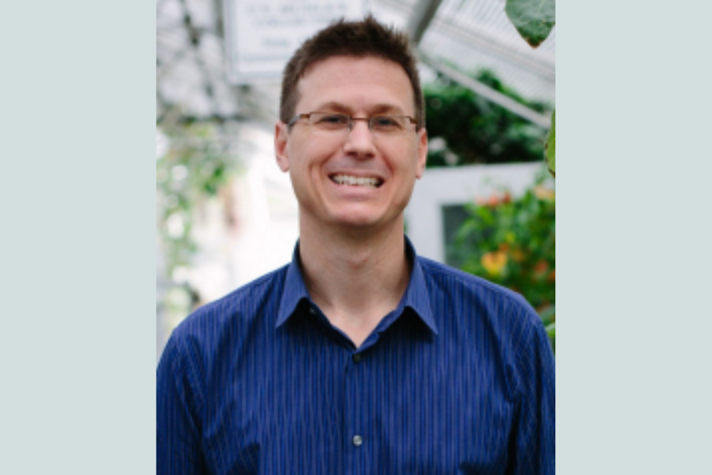 Mosquitoes Are Seeing Red: Why New Findings About Their Vision Could ...