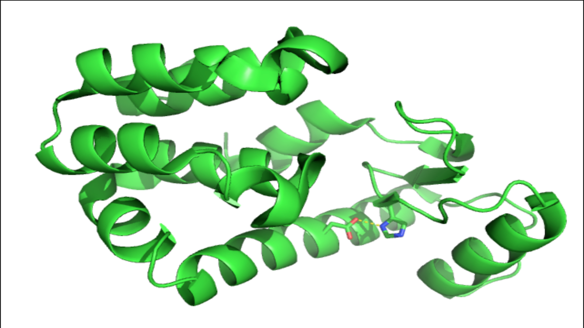 Study shows freezing protein samples before X-ray analysis distorts ...