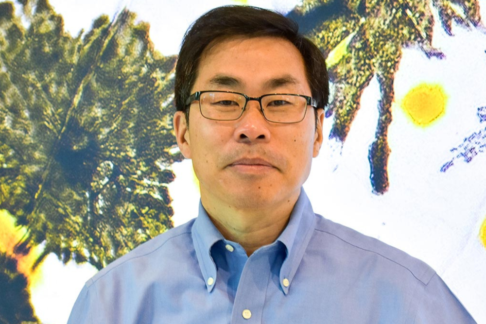 A Novel Combination Therapy For Treating Vancomycin-Resistant Bacterial ...