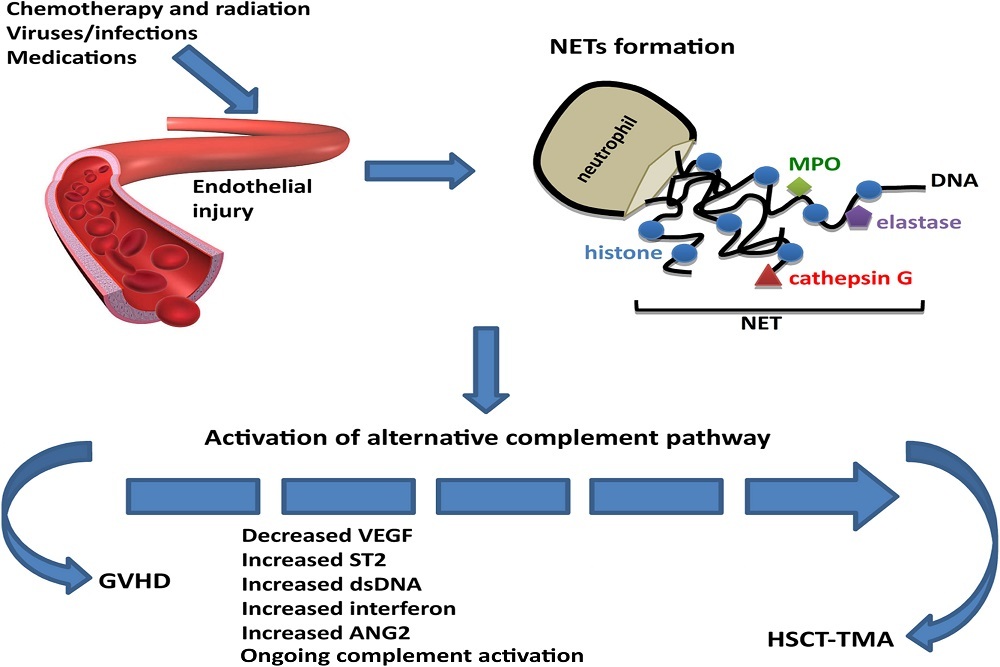 OMEROS CORPORATION: FDA Confirms Omeros’ Schedule for Rolling Review of ...