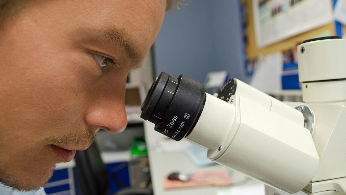 Scientists create new technology to rapidly generate synthetic proteins ...