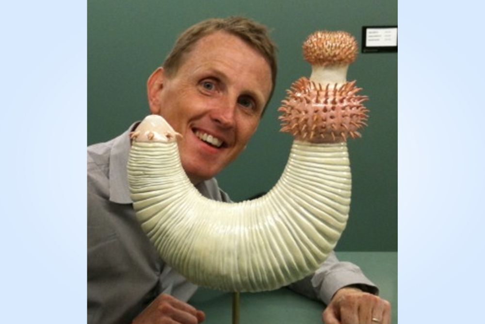 Dead Fish Breathes New Life Into The Evolutionary Origin Of Fins And ...