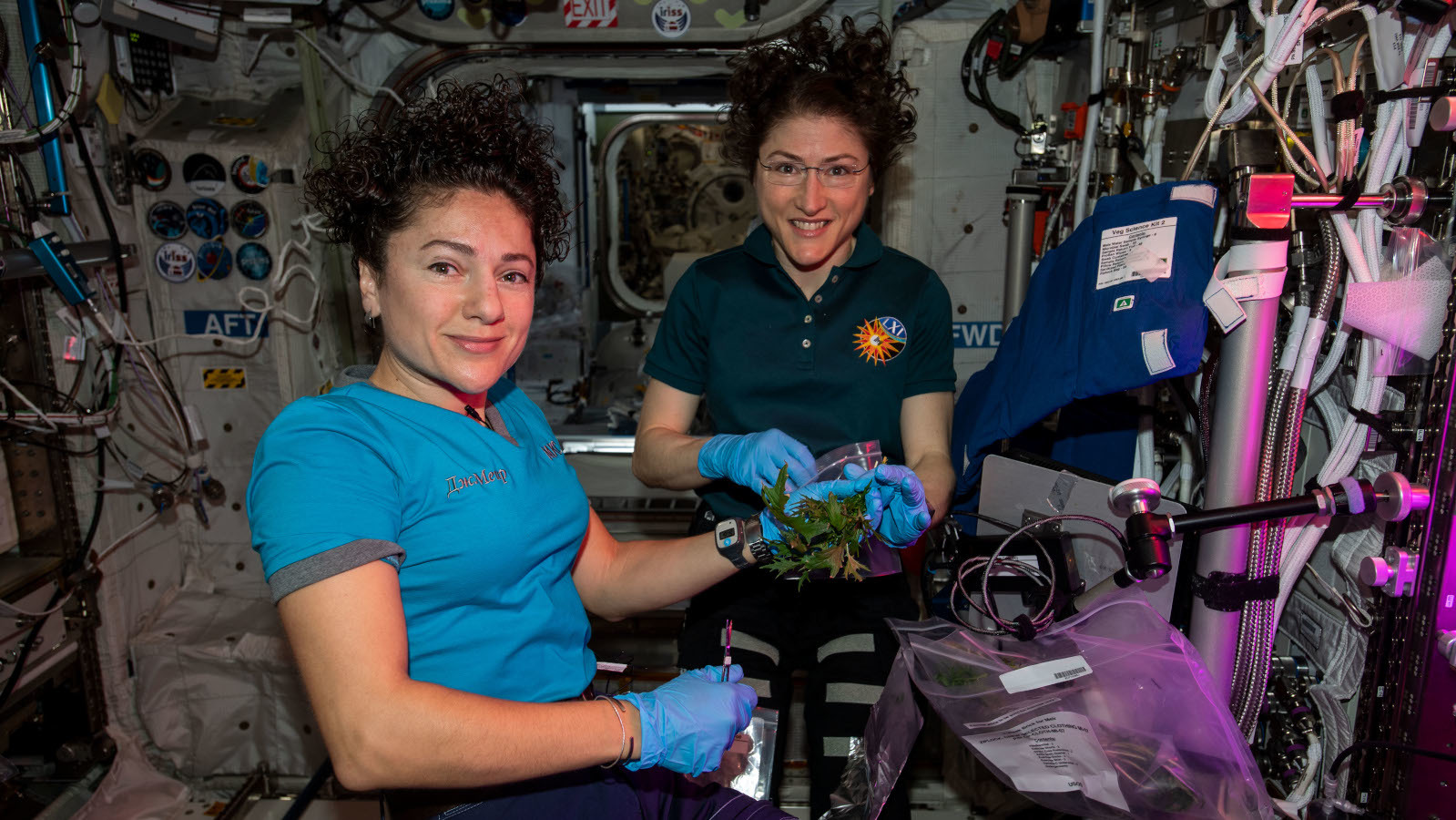 Brown graduate selected for NASA's Artemis program | Current Science Daily