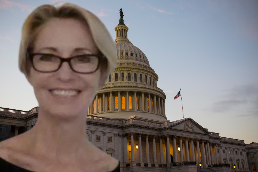 Campaigns Daily | Christine Scott: Gun Rights